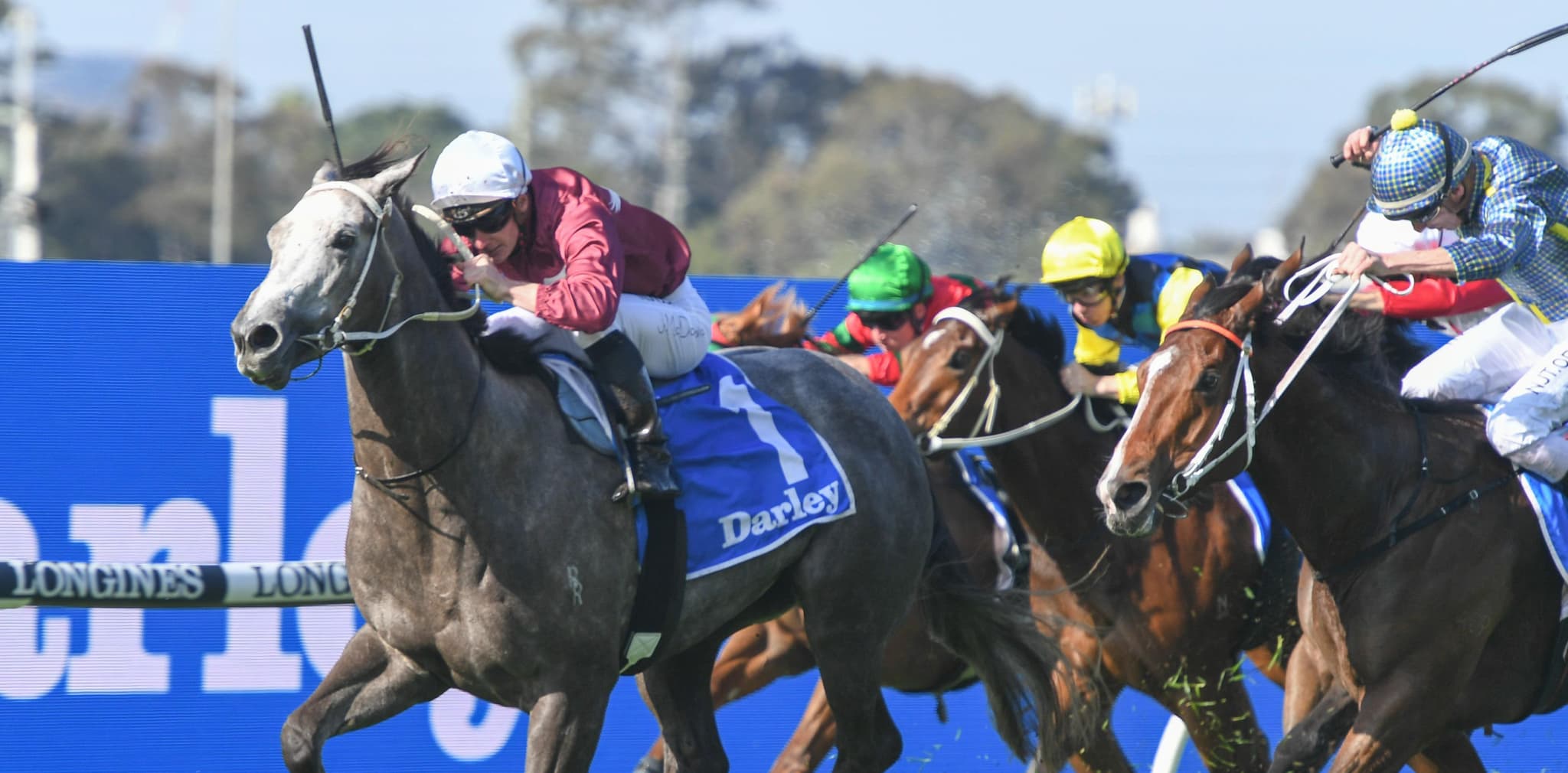 Home | Matthew Dunn Racing