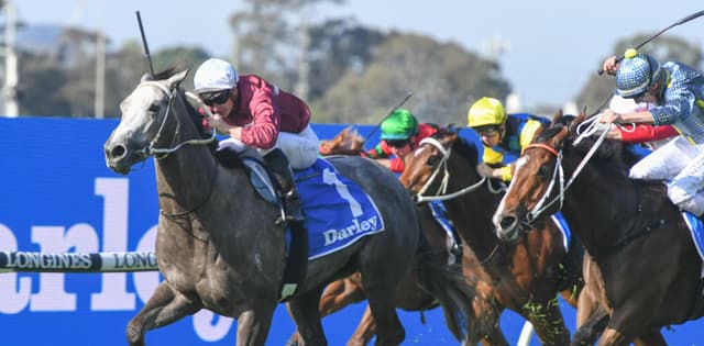 Home | Matthew Dunn Racing